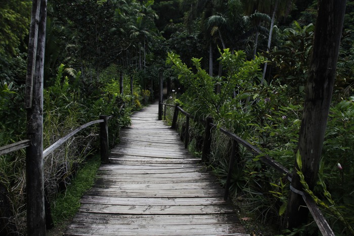 Fiji Mud Pool And hotsprings sabeto